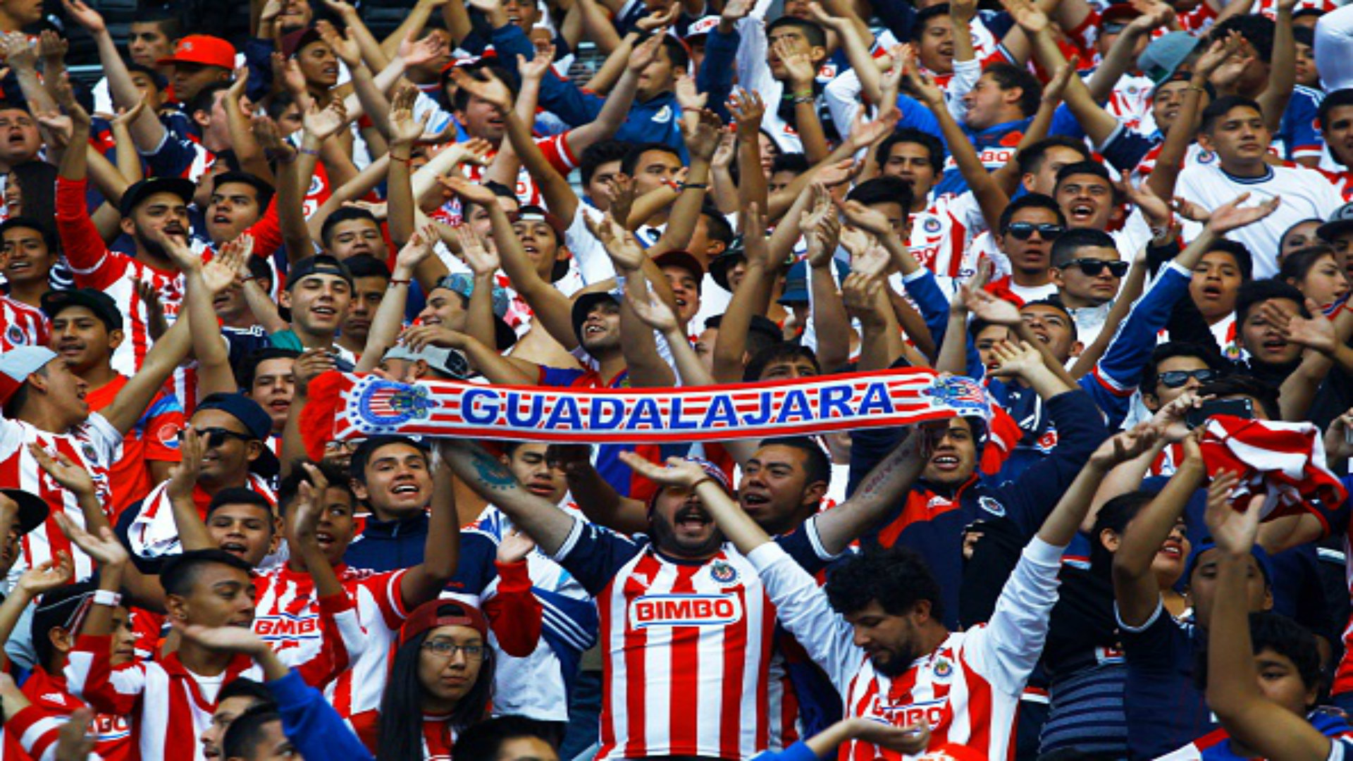 Un amor incondicional por el Rebaño